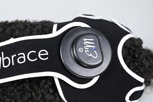 EMbrace Relief System | Hip, Back, & Shoulder Therapy - Animal Ortho Care