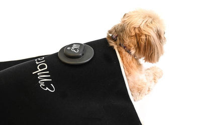 EMbed Relief System - Blanket with EM Technology | Pet Pain Relief ...
