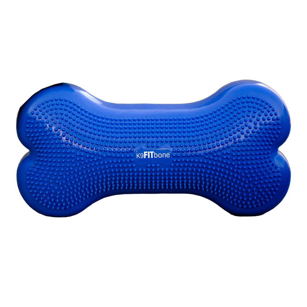 FITPAWS - Animal Ortho Care