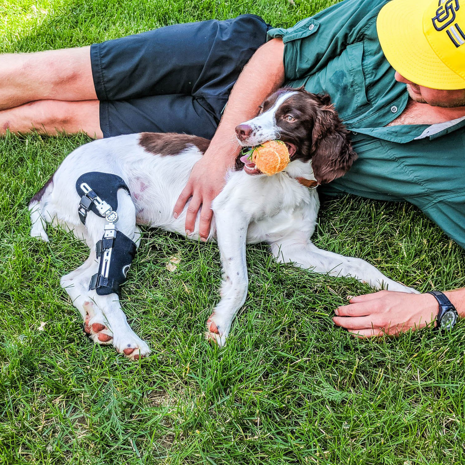 EMbrace Orthopedic Supports - Animal Ortho Care