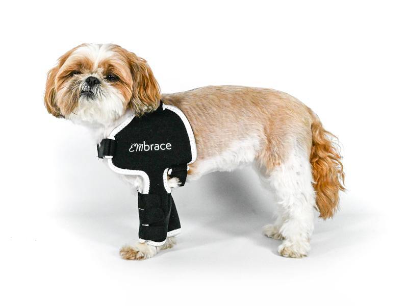 EMbrace Orthopedic Supports - Animal Ortho Care