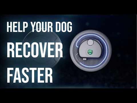 EMbed Relief System - Blanket with EM Technology | Pet Pain Relief ...